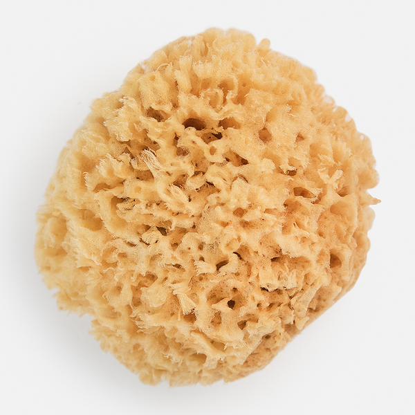 Mediterranean Wool Sponges – Bath Accessories Co.